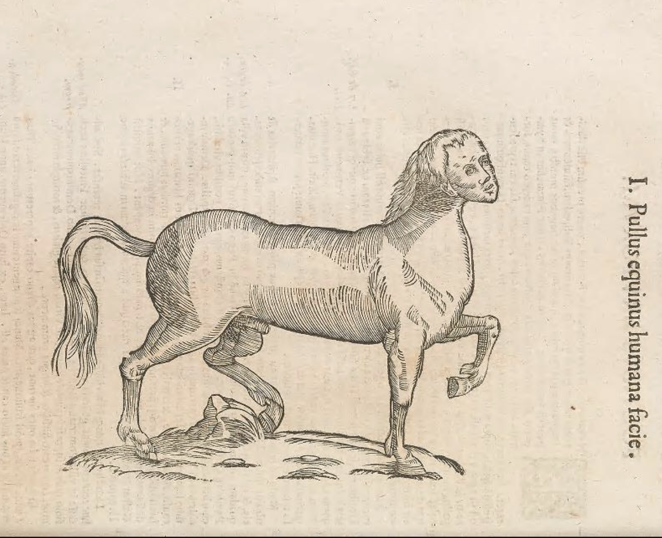 Ep 75: Winter Solstice Centaur – Scarlett of the Fae